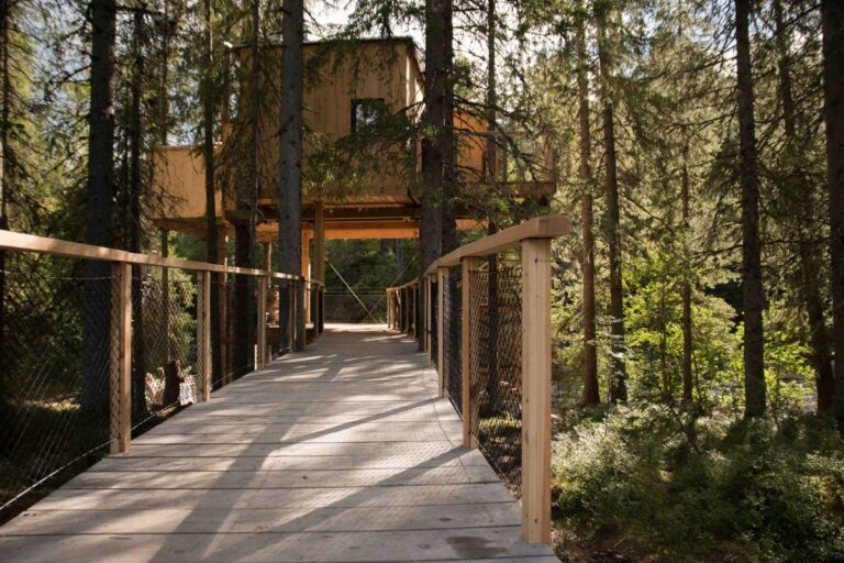 River Eye Treehouse | off-grid treetop retreat with river views | Norway