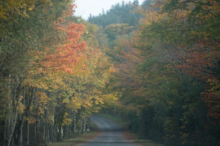Breac.House | architect-designed B&B with sauna | Co Donegal