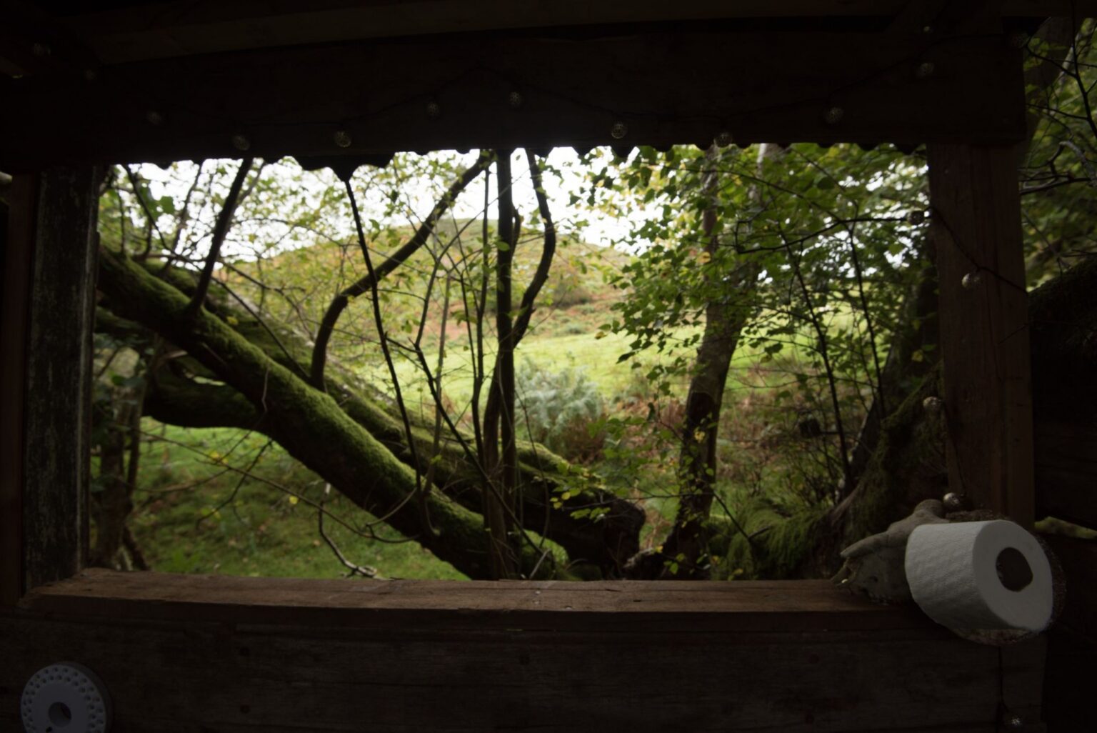 Moon Conker | unique conker glamping pod with style in the wilderness ...