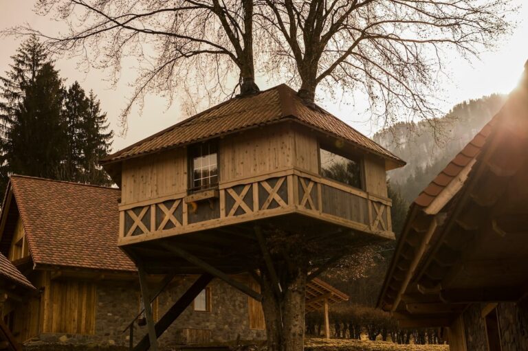 Povolaro Treehouse fairytale retreat built around a beech tree in ...