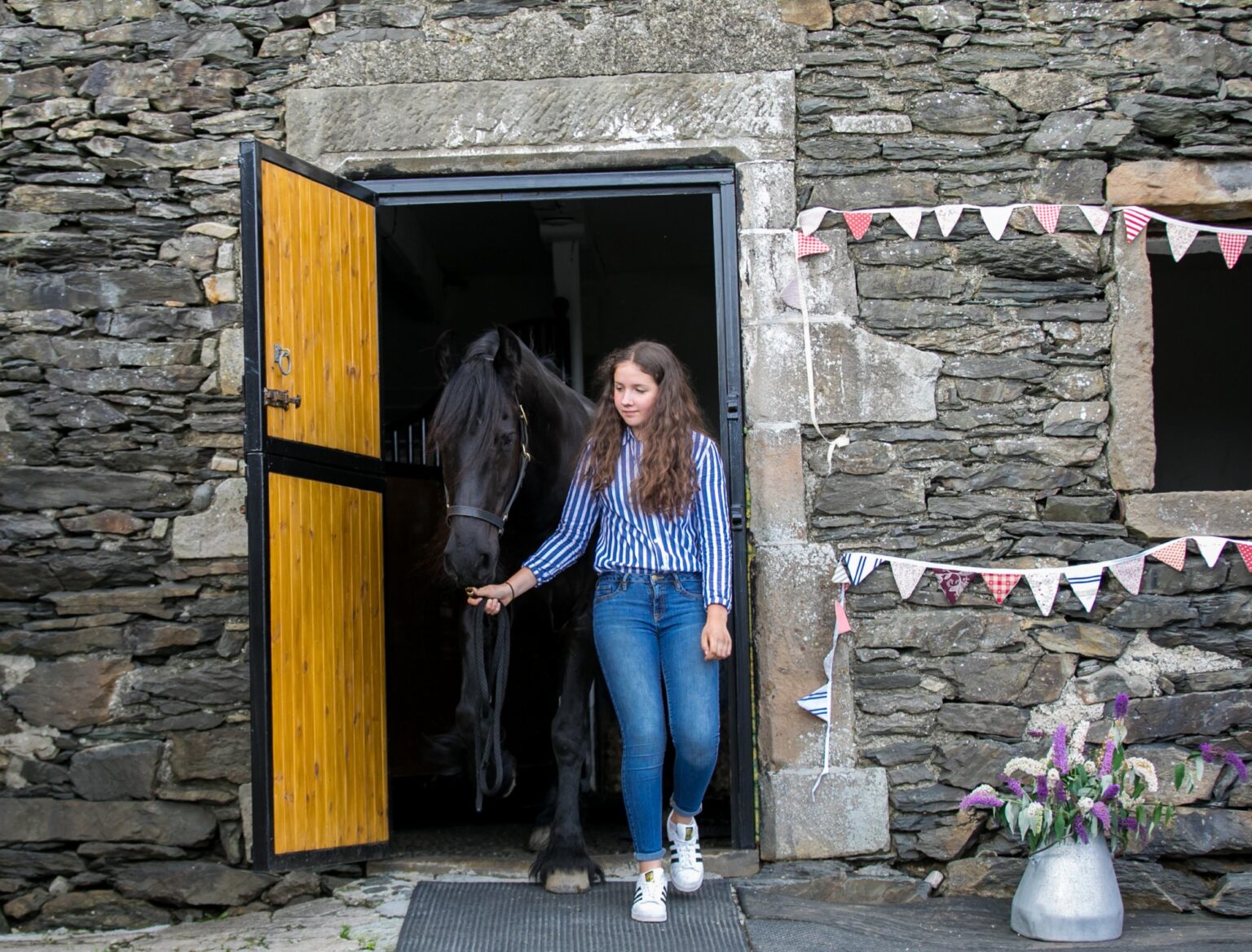 Stable Stays | a once-in-a-lifetime unique glamping with horses ...