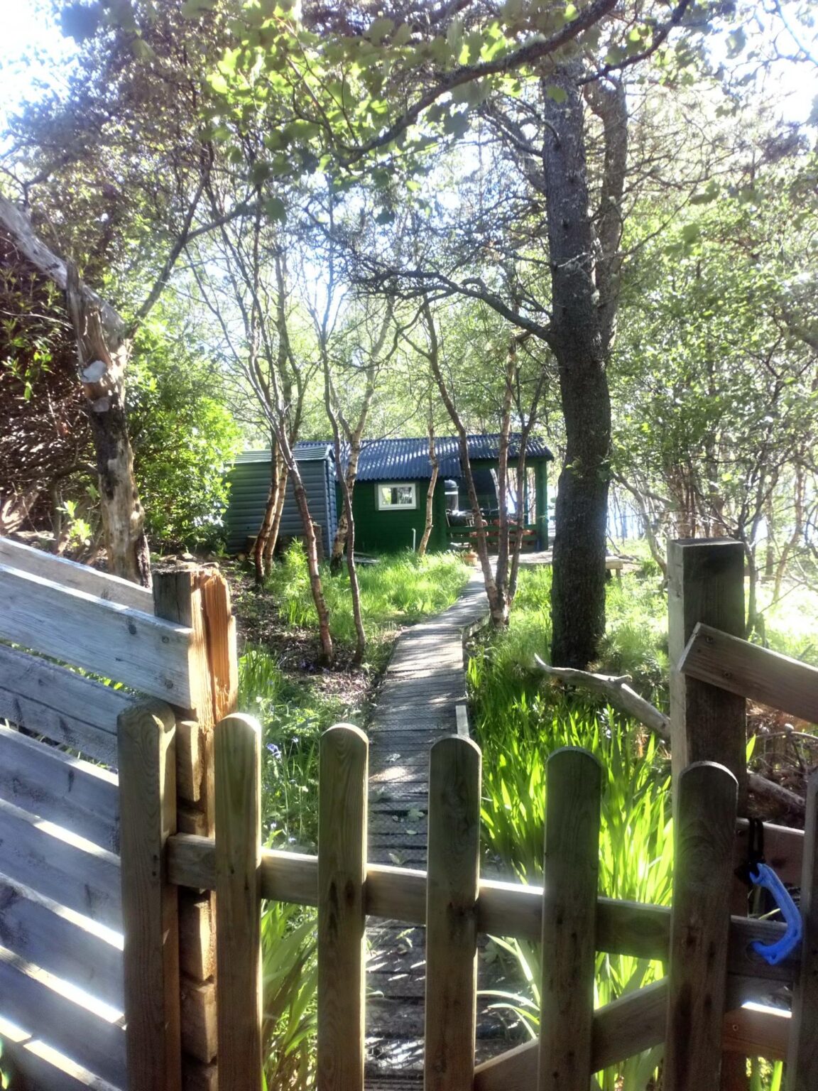 Dry Island | a private island glamping retreat with wildlife trips ...