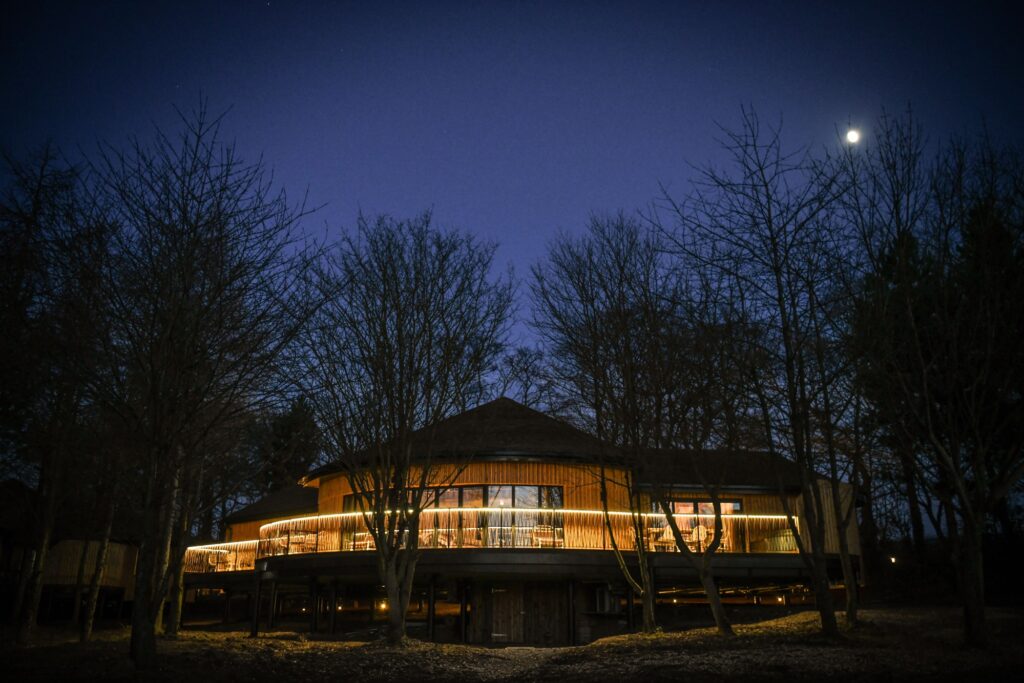 Ramside Hall Hotel Treehouses luxurious treetop retreat Durham