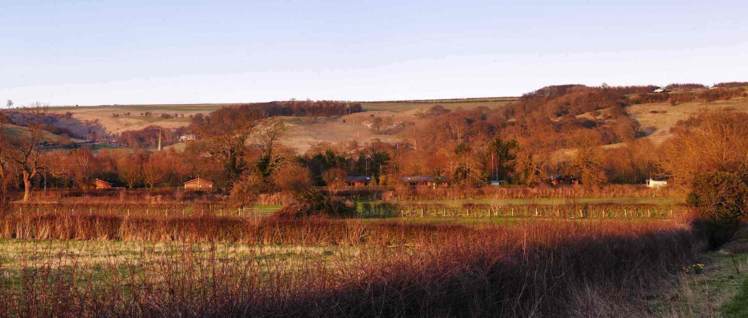 Wold's Edge Treehouse boutique adults-only treehouse in Yorkshire