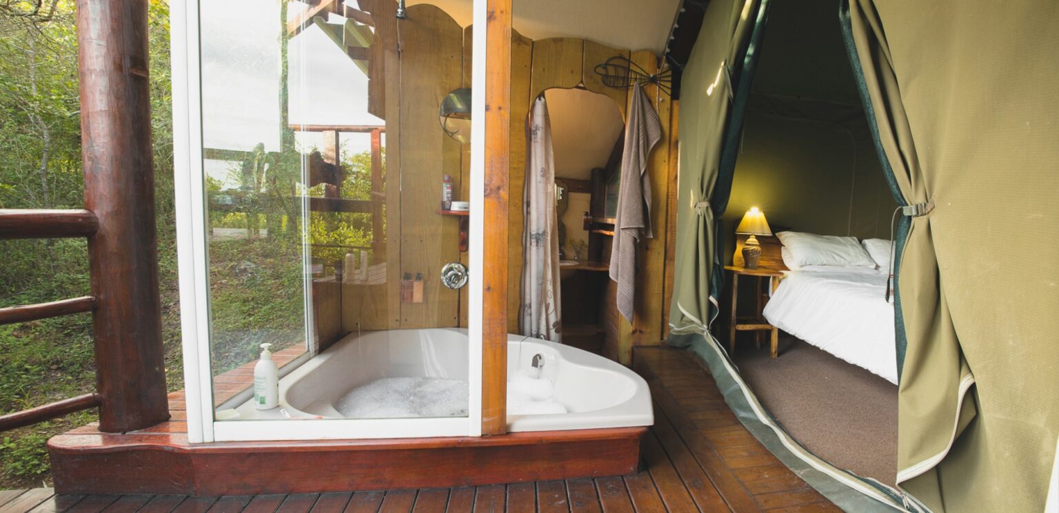 Teniqua Treetops | eco-friendly South African forest resort close to ...