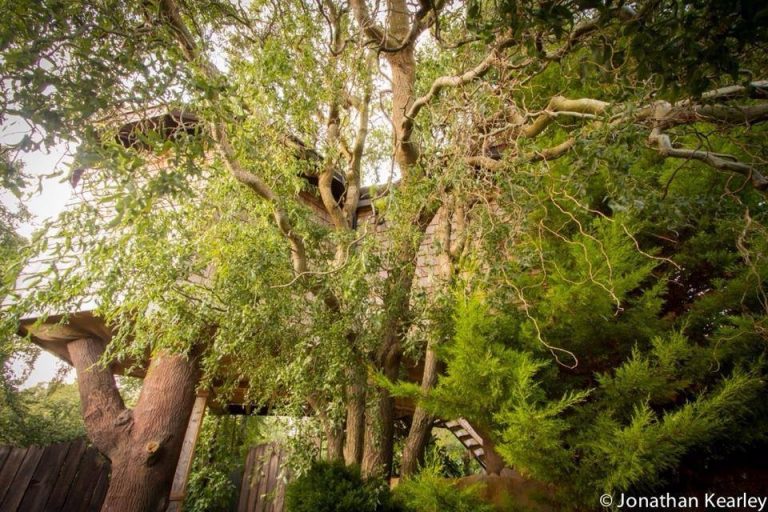 Treehouse Hideaway Spa hot tub romantic stay nr Whitstable Kent