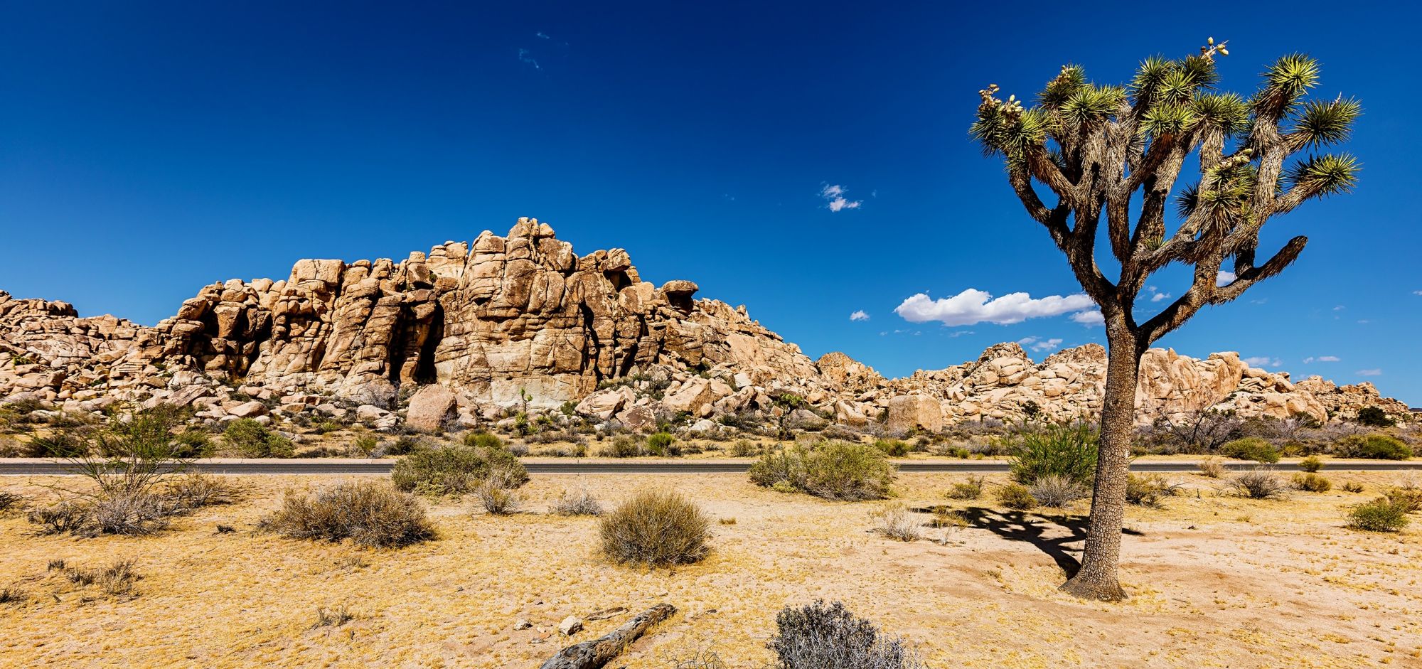 Unique and unusual places to stay in Usa | Host Unusual