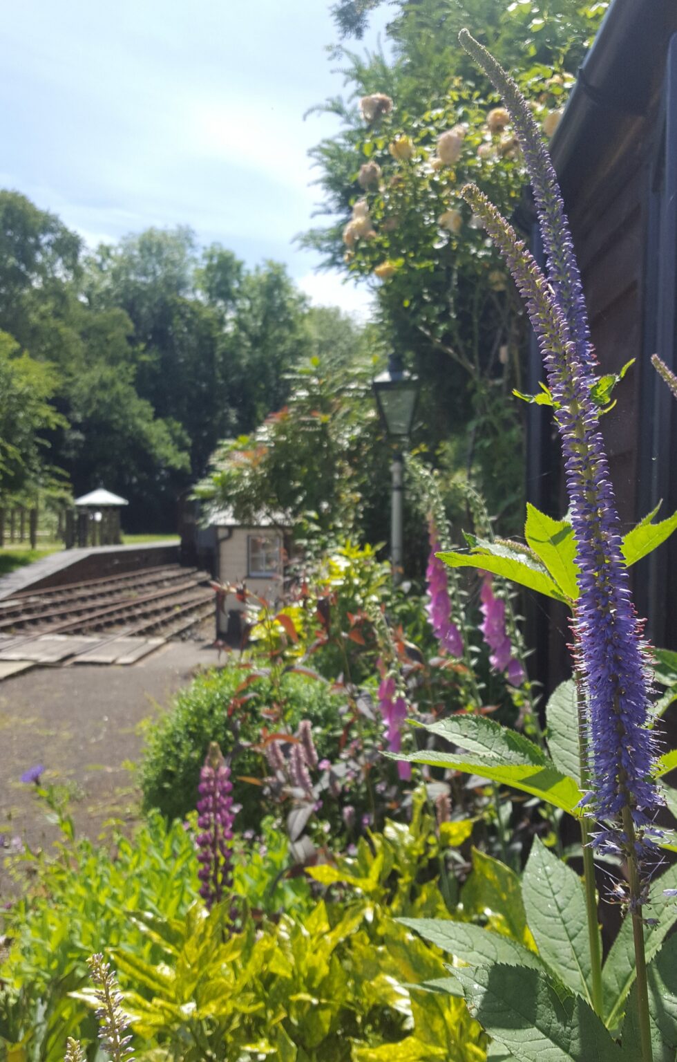 Rowden Mill Station Building & Parcel Office | restored railway stay