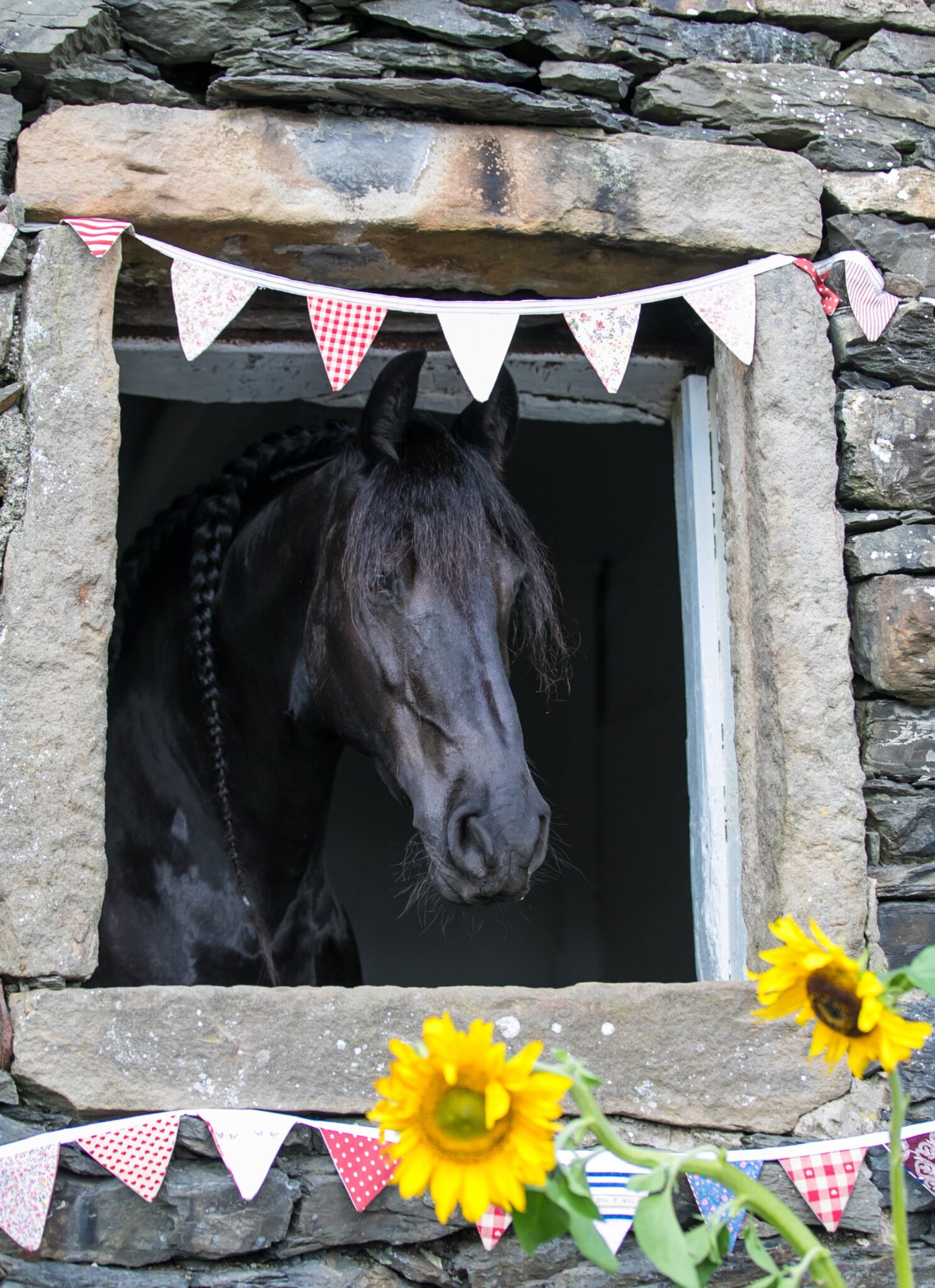 Stable Stays | a once-in-a-lifetime unique glamping with horses ...