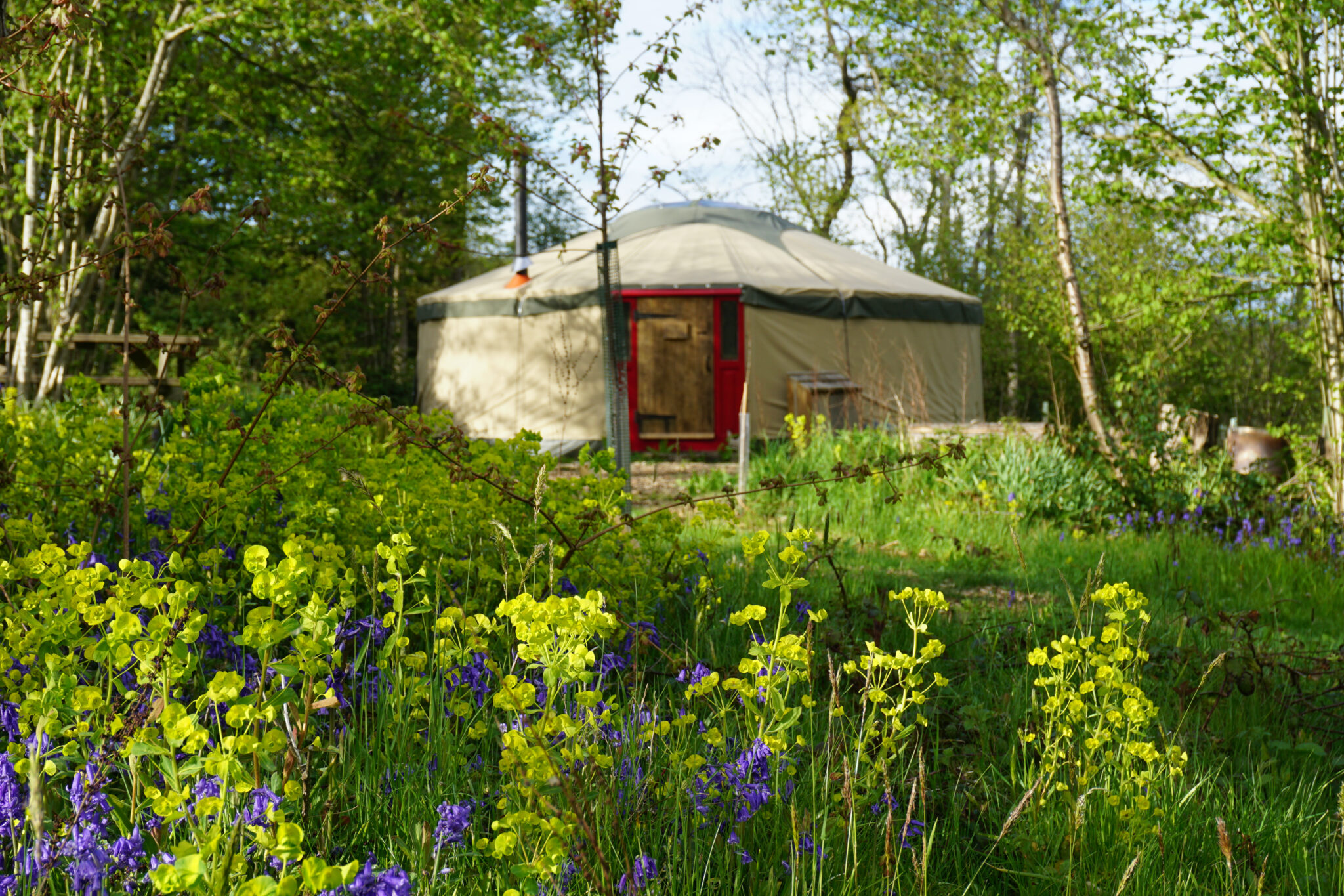 Forest Garden Shovelstrode | woodland yurts and cabin | Sussex