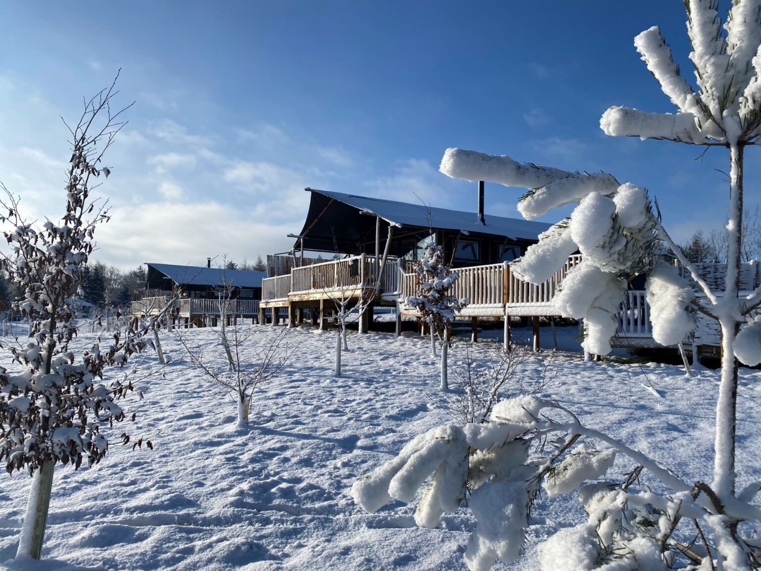 Birdholme Glamping | safari lodges with private hot tubs Notts