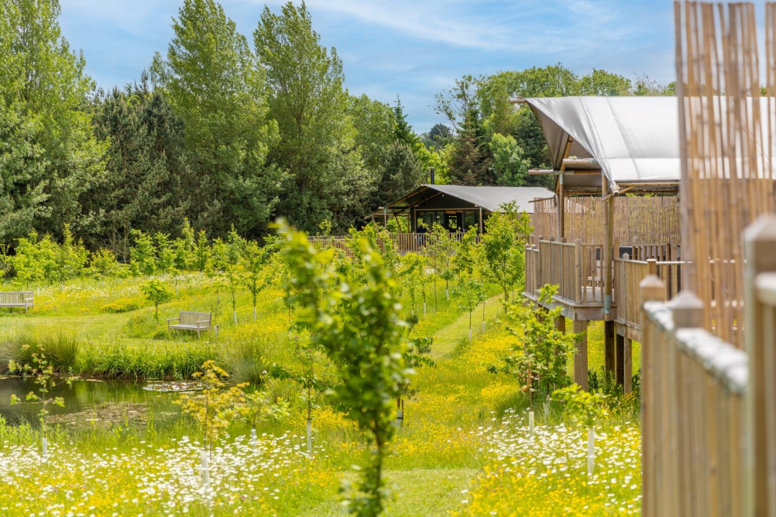 Birdholme Glamping | safari lodges with private hot tubs Notts