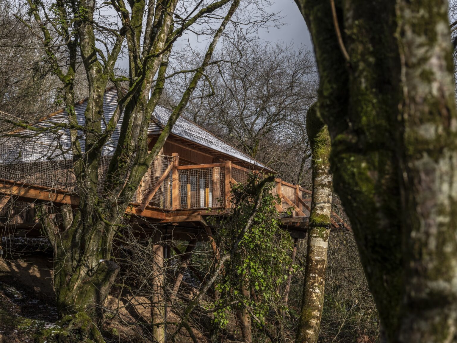 Wolf Wood Treehouses | luxury hand-built treehouse retreat | Devon