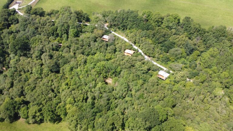 Wolf Wood Treehouses | luxury hand-built treehouse retreat | Devon