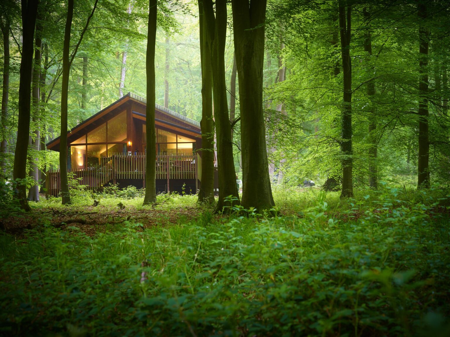 Forest Holidays Blackwood | woodland cabins treehouses | Hampshire