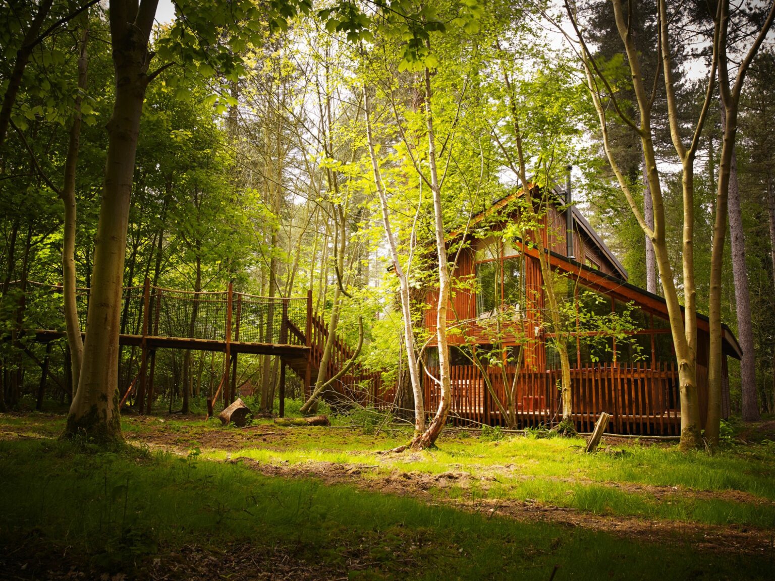 Forest Holidays Thorpe | woodland cabins treehouses | Norfolk