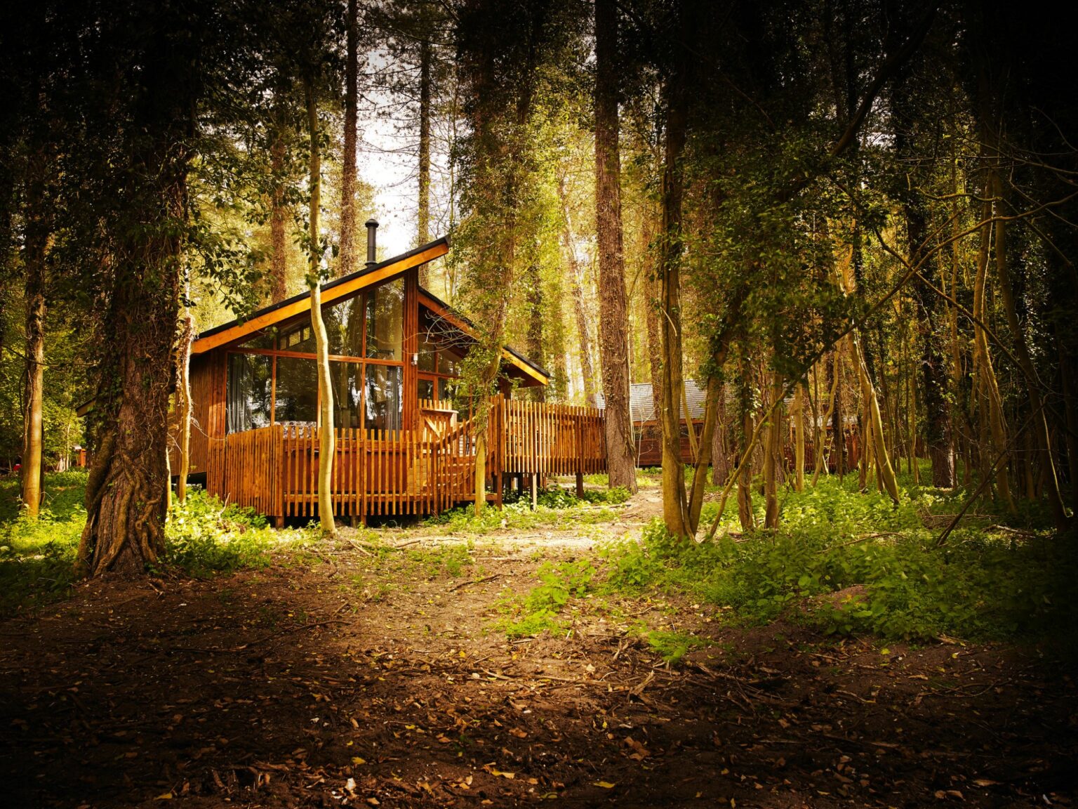 Forest Holidays Thorpe | woodland cabins treehouses | Norfolk