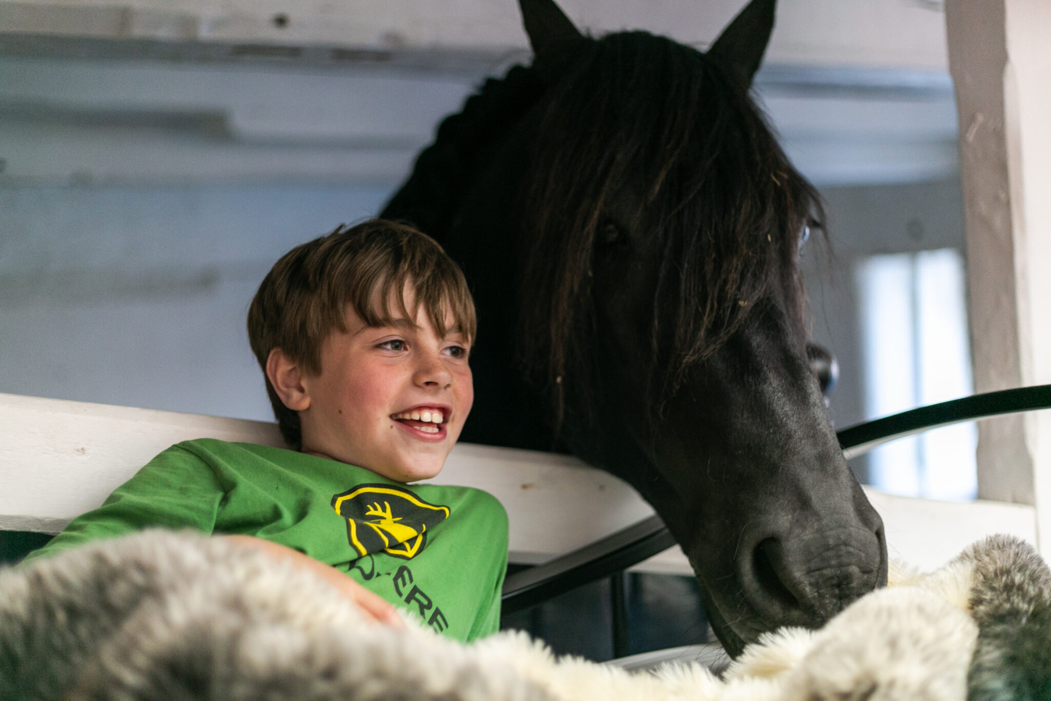 Stable Stays | a once-in-a-lifetime unique glamping with horses ...