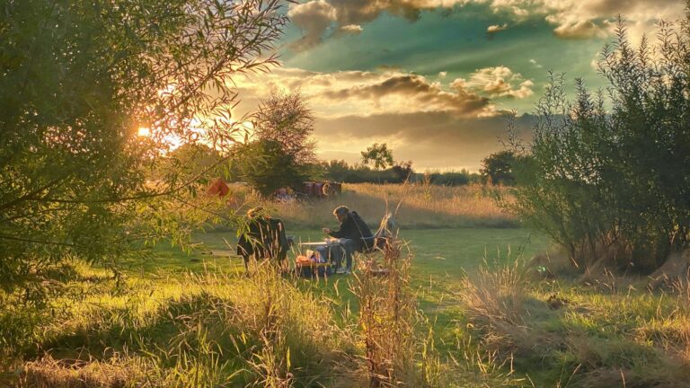 Wardley Hill ecological campsite and glamping in rural Norfolk