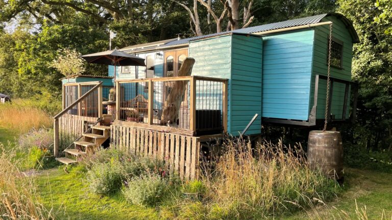 Wardley Hill ecological campsite and glamping in rural Norfolk