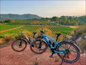 Les Voltes | welcoming eco-retreat in a Catalonian wine village