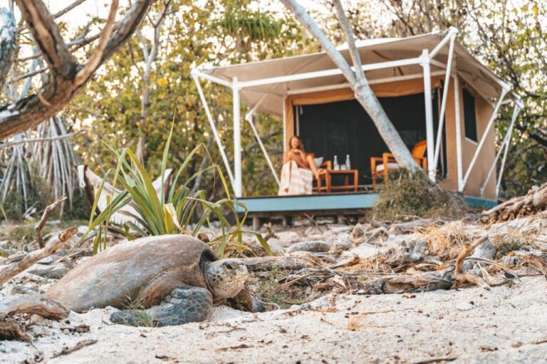 Wilson Island | adults-only hideaway on the Great Barrier Reef