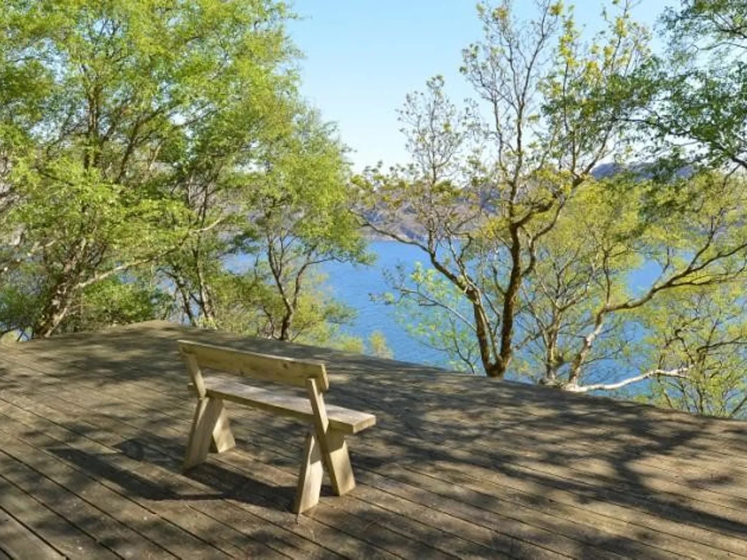Chapel House Treehouse