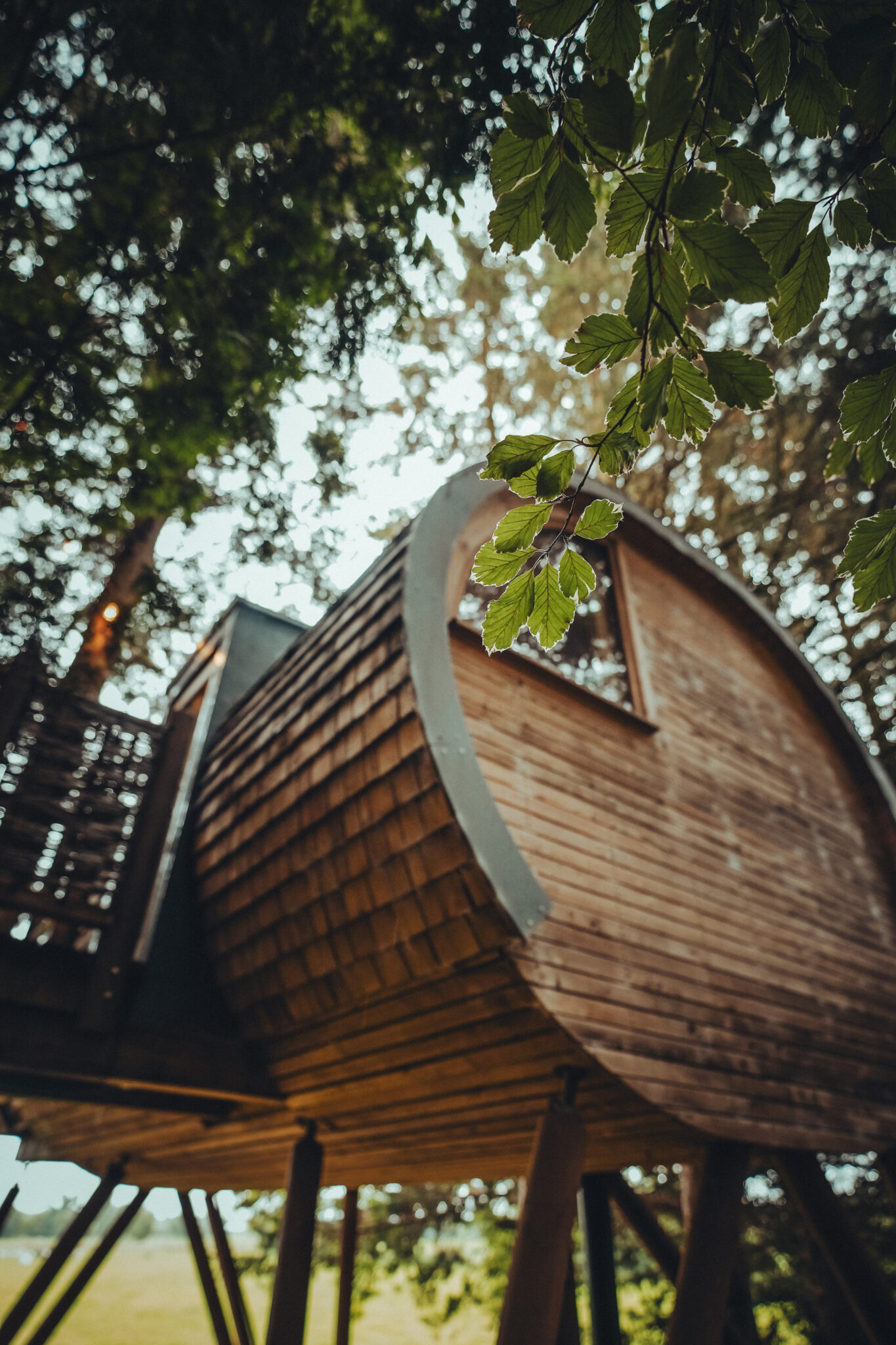 The Orchard at Fenny Castle treehouse cabin retreat