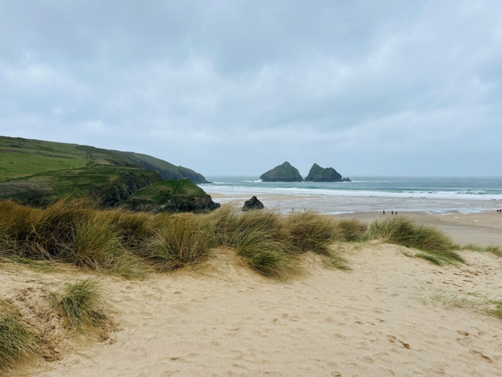 10 of the Best Year-Round Dog-Friendly Beaches in Cornwall | Host Unusual