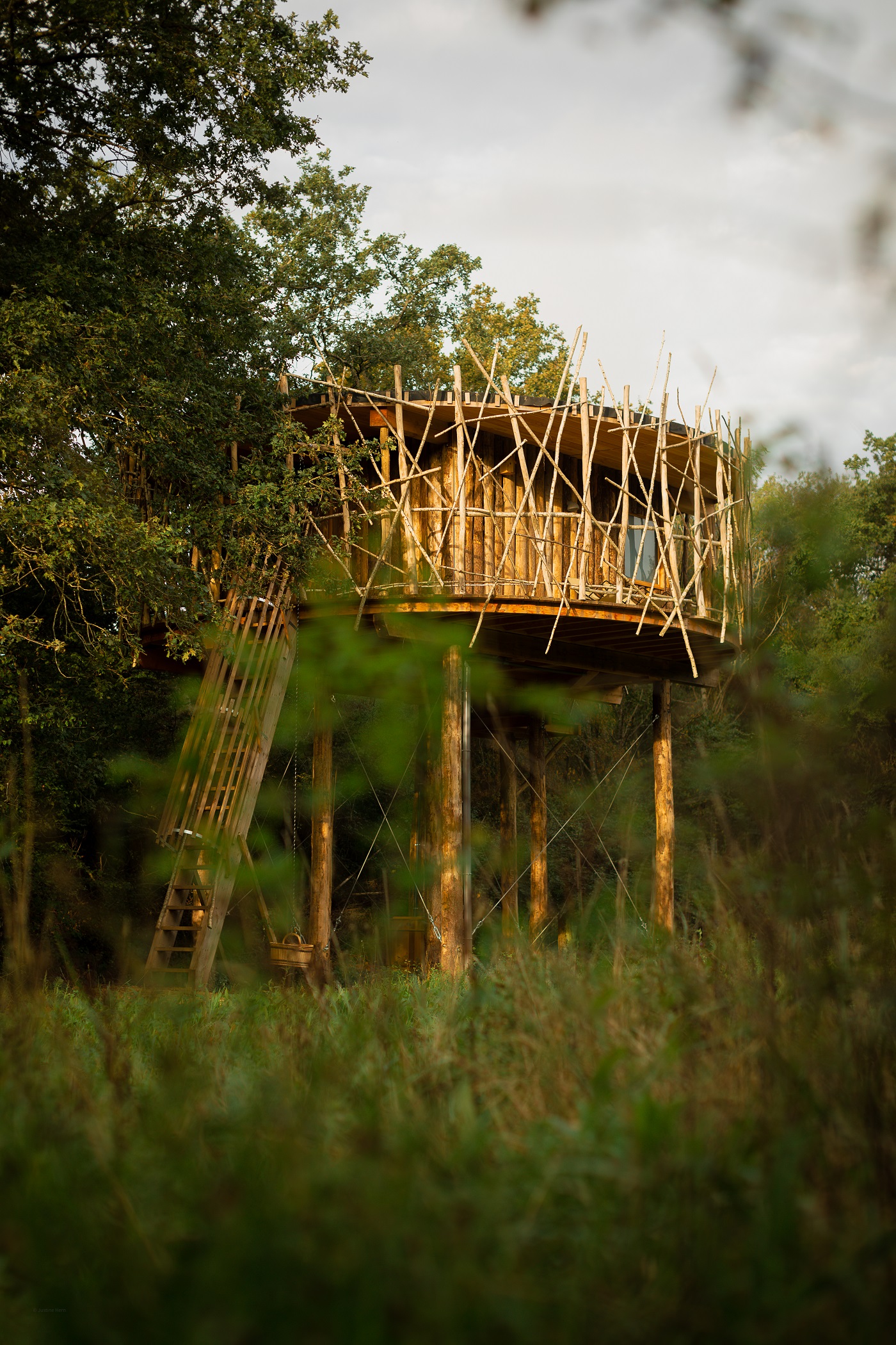 Cabanes de La Réserve | eco tree cabin retreat in northern France