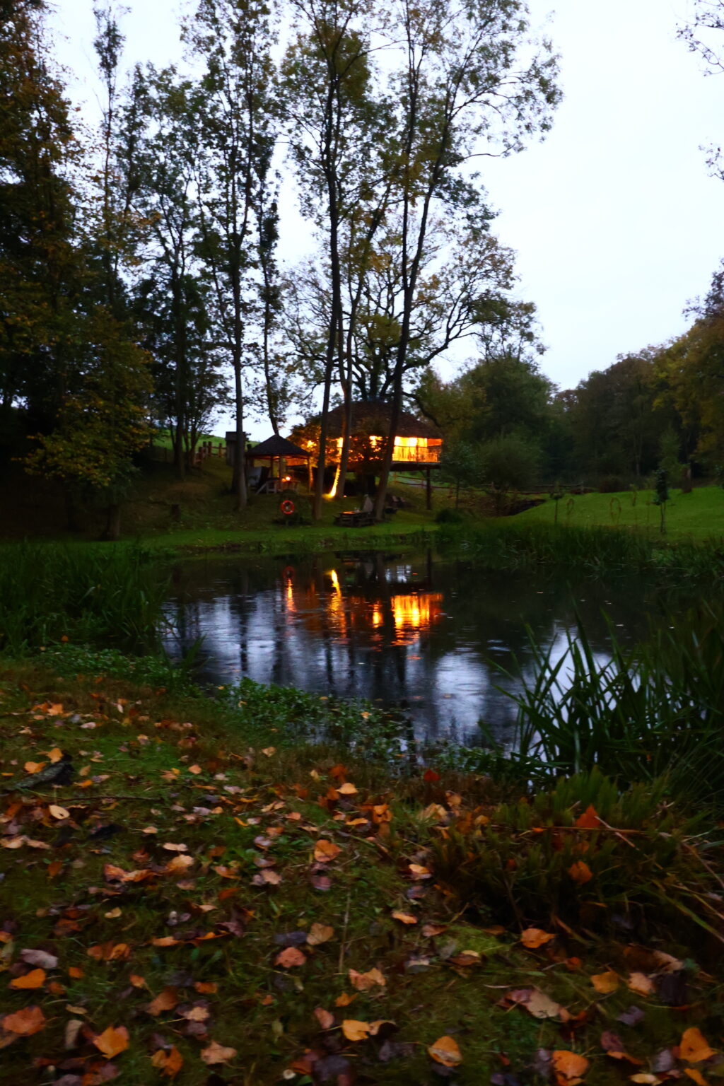 Treeopia | two luxurious adults only treehouses in Worcestershire