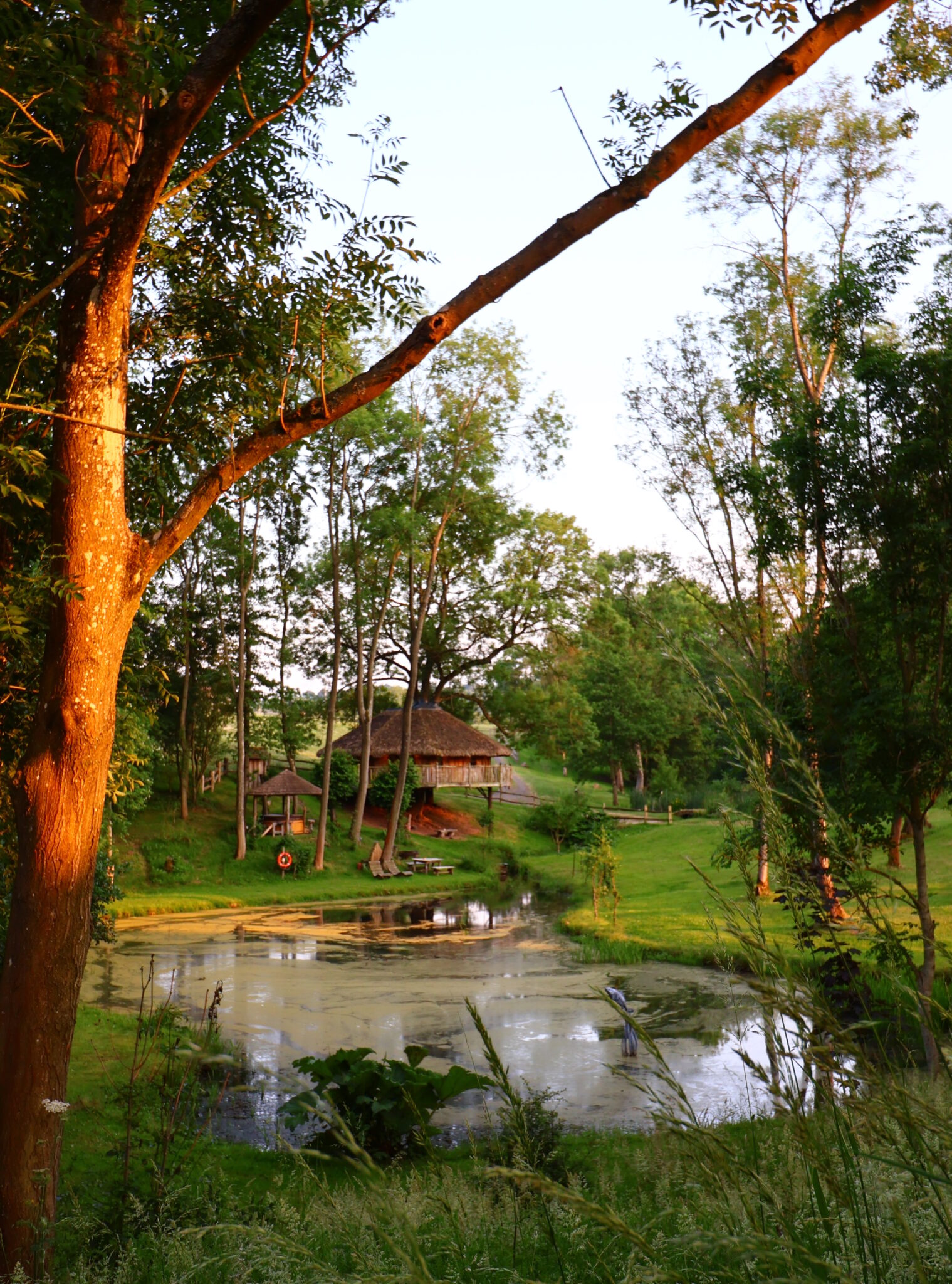 Treeopia | two luxurious adults only treehouses in Worcestershire