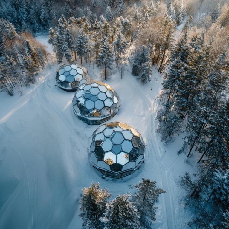 SKOG Aurora Igloos with panoramic views of Swedish Lapland